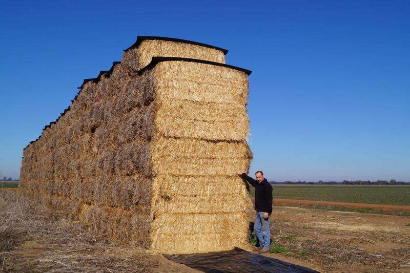 Guide your way to a successful hay stack | Country News