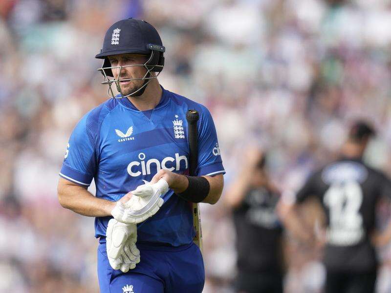 Livingstone backs 'untapped' England talent to shine | Riverine Herald