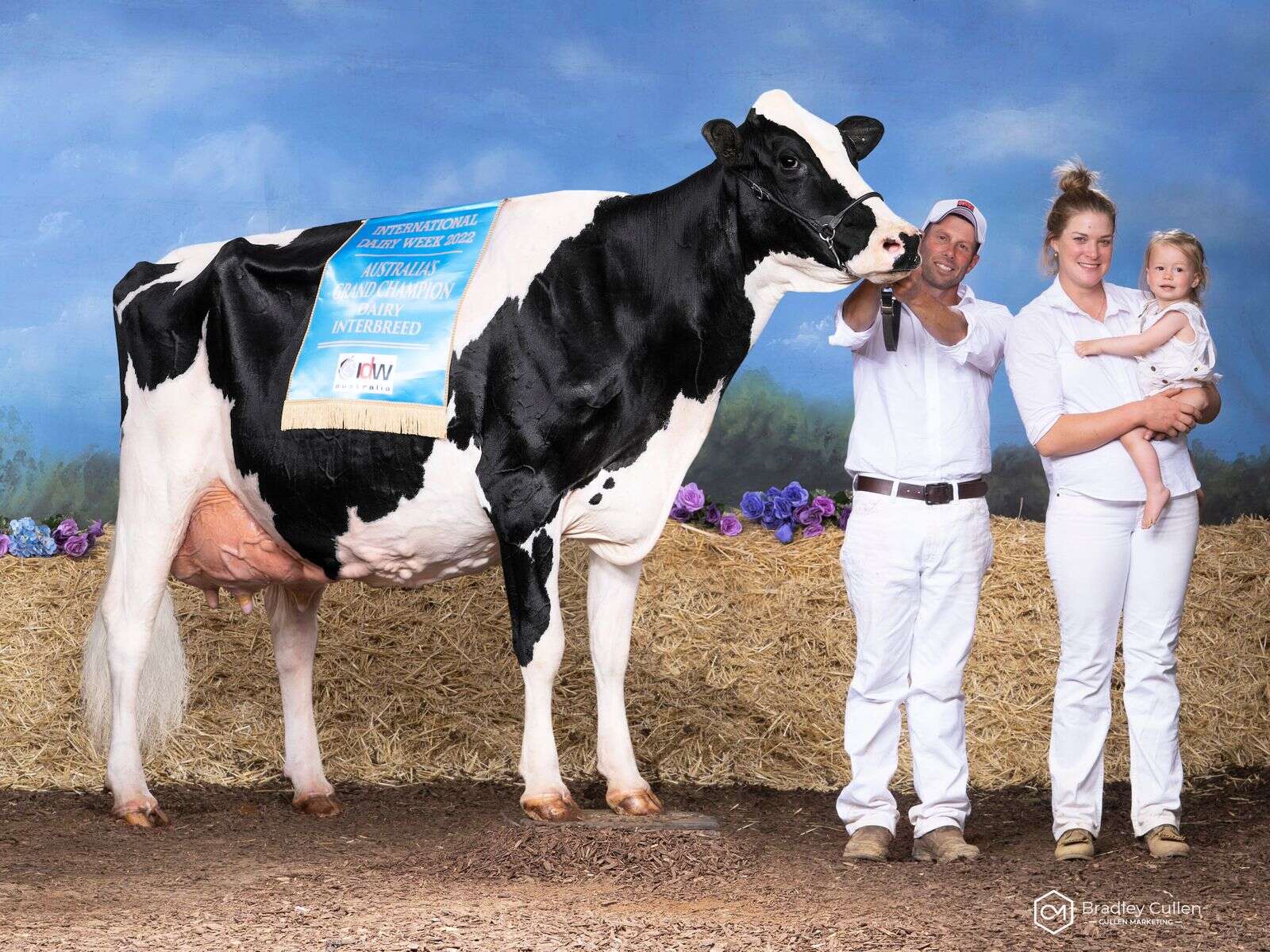 Passionate about dairy cows | Dairy News Australia