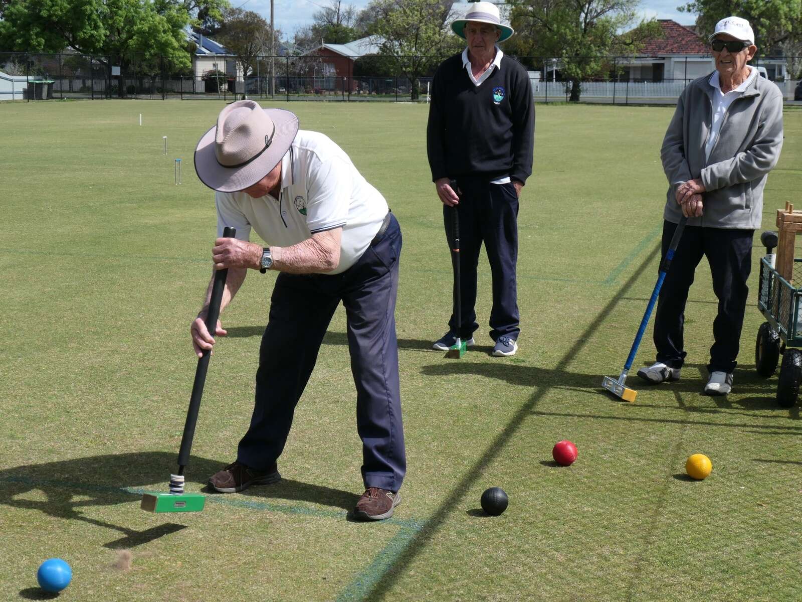 Croquet club's thrilling matches and upcoming events | Deniliquin ...