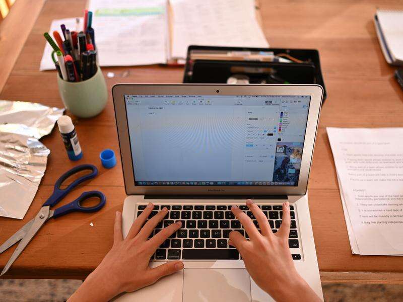 'Extraordinary': Dutton flips on work-from-home ban | Shepparton News