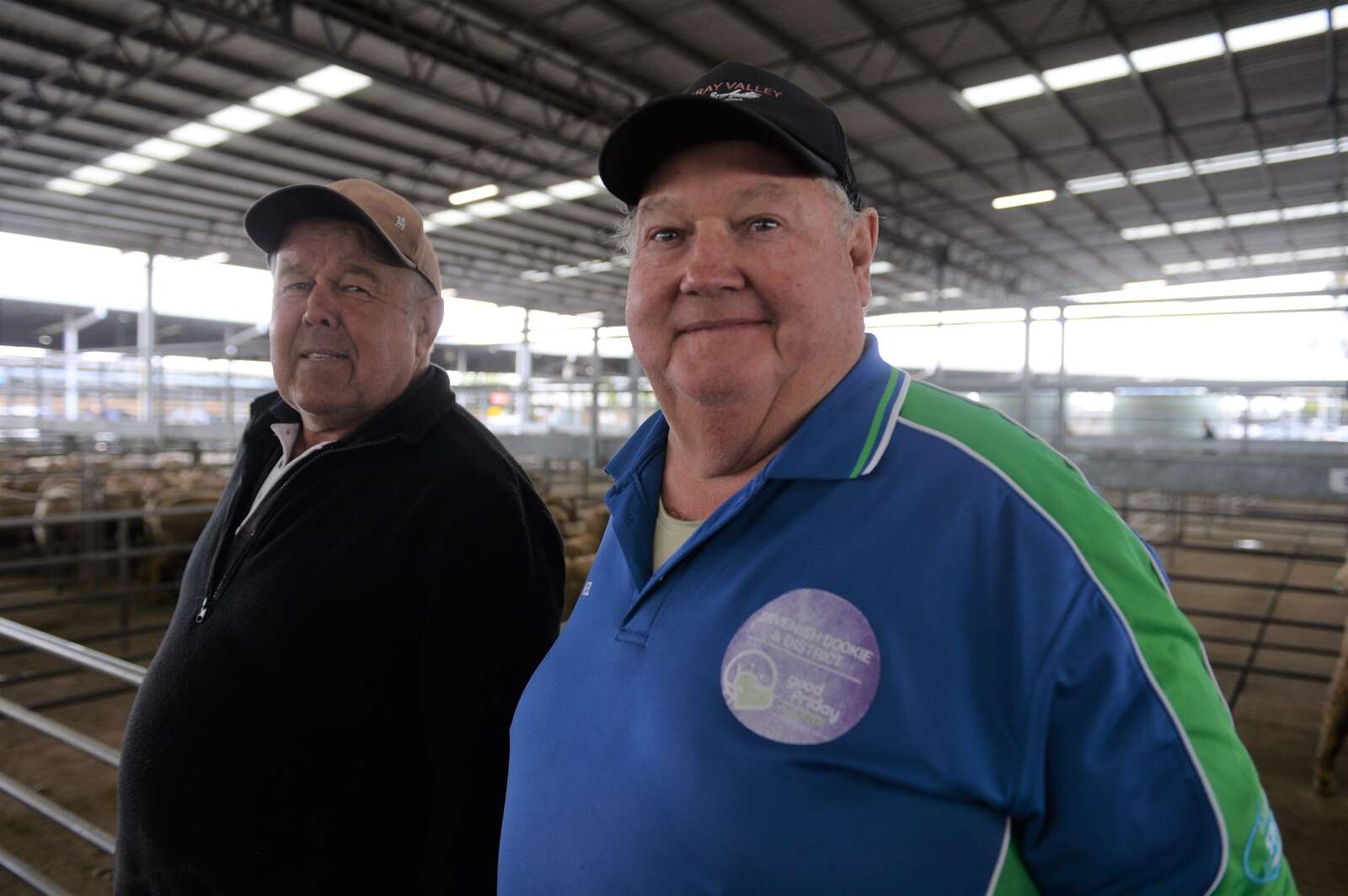 Flood threat impacts saleyards | Dairy News Australia