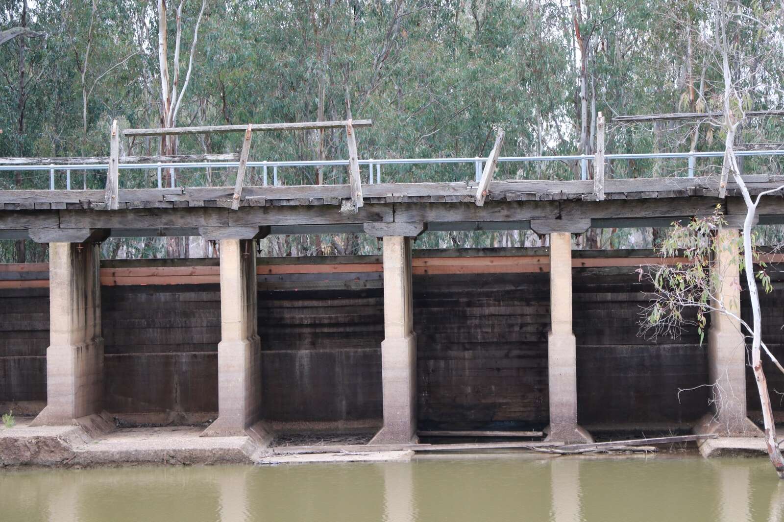 Reference group to advise on loch’s future | Country News