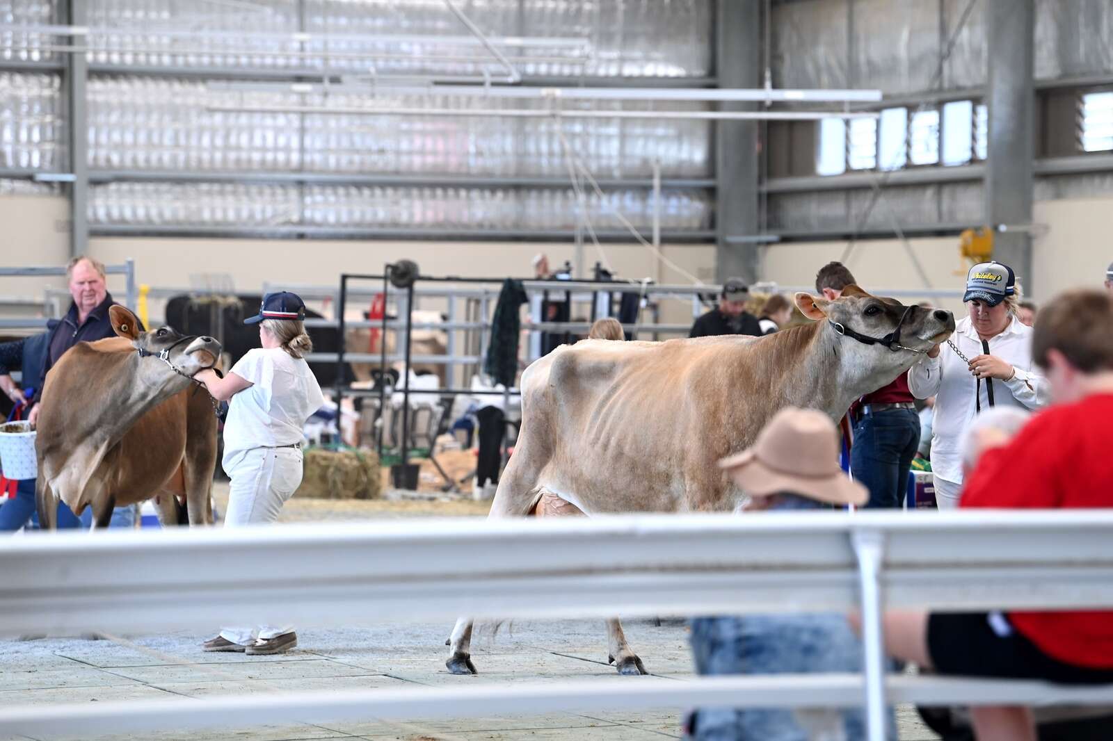 Shepparton Show debuts new event | Country News