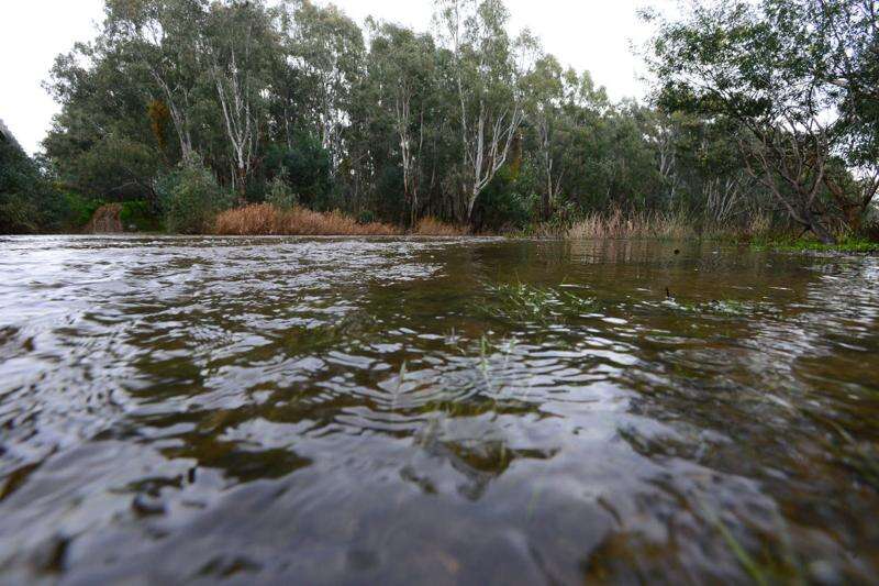 SA researchers say water hoarding a myth | Country News