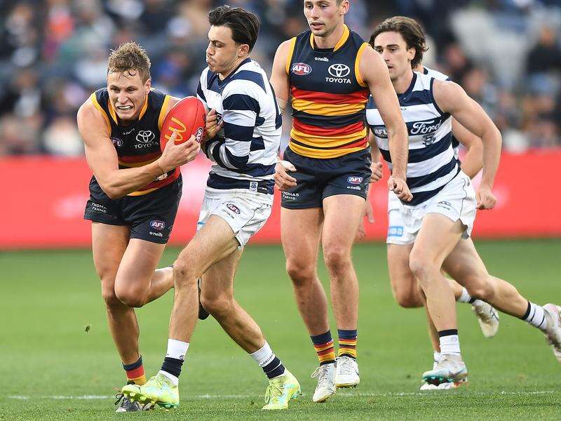Geelong's Brad Close found guilty by AFL Tribunal | Kyabram Free Press