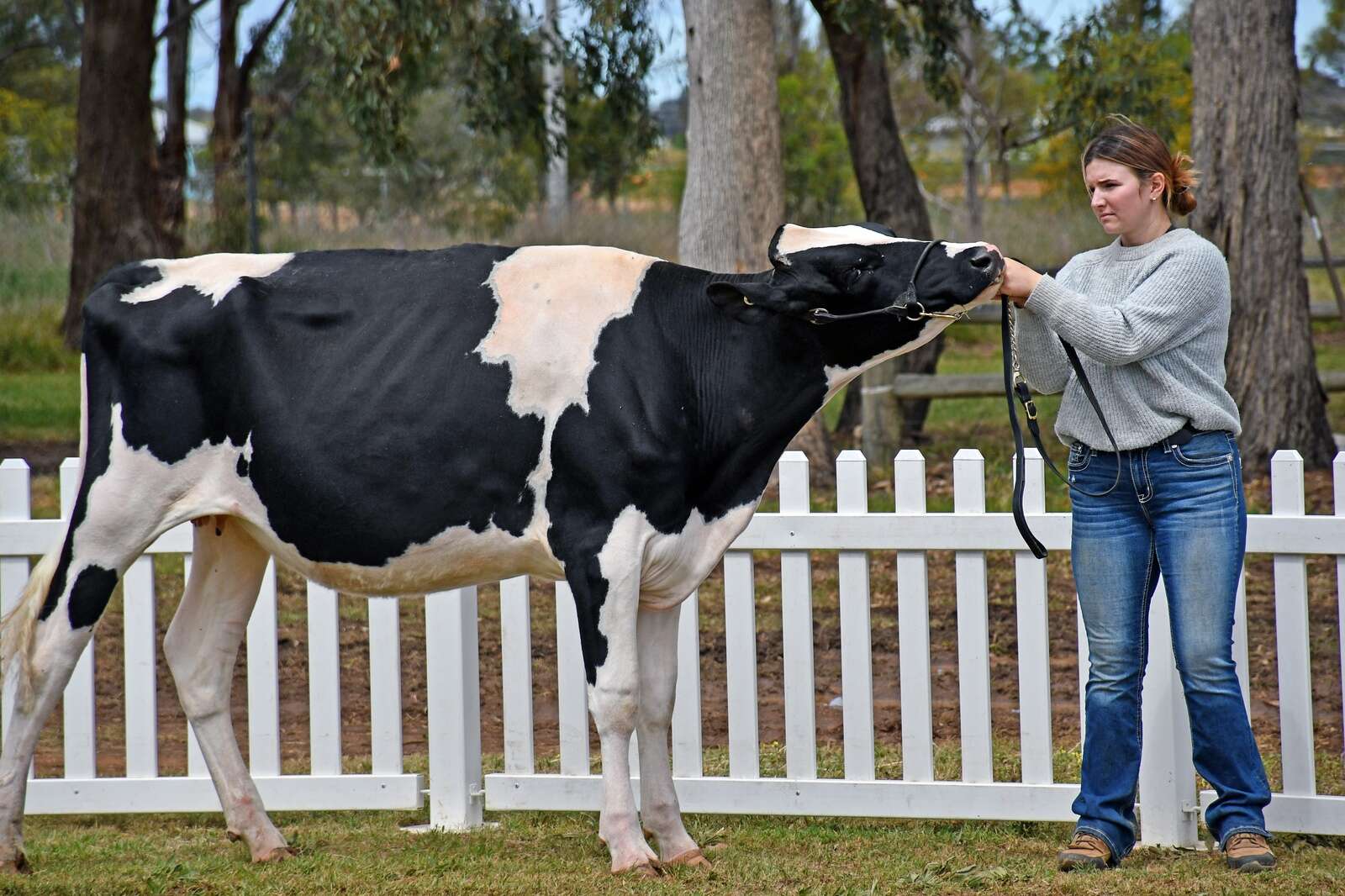 Gallery | Perfect conditions at Kyabram Agricultural Show | Country News