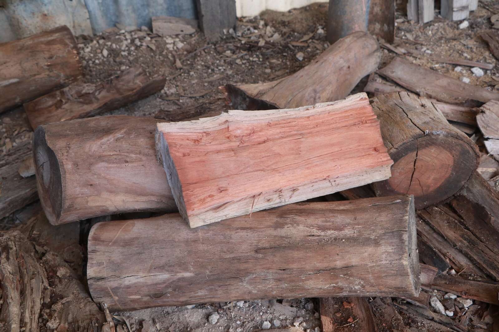 Firewood collection areas are few and far between | Country News