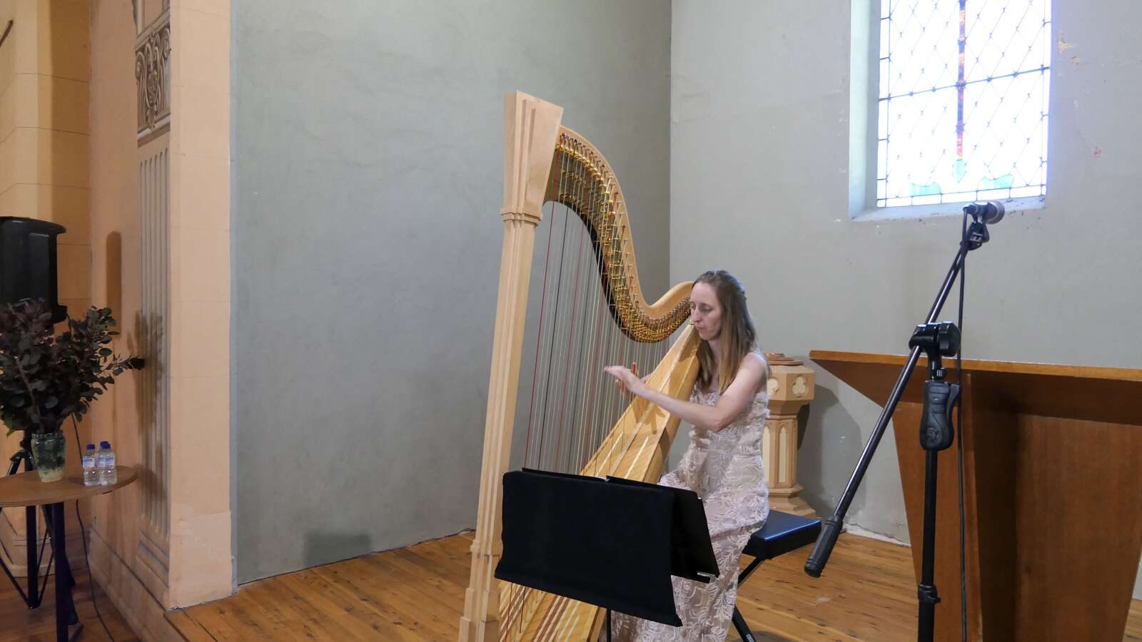 Harpist treat at community thank you | Shepparton News