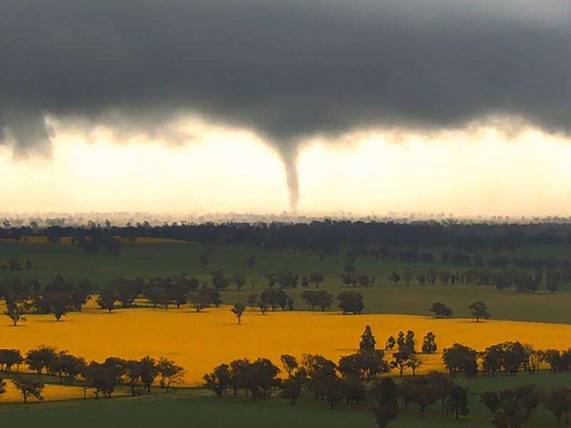 Heavy rain and wild winds push homes to breaking point | Kyabram Free Press