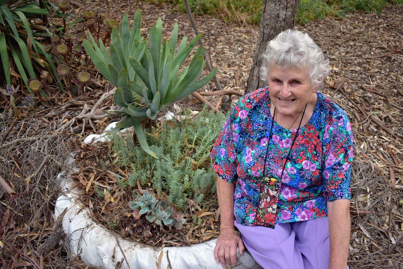 Effort is in vain | Deniliquin Pastoral Times