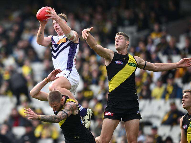 Fremantle's alpha male Treacy ready to hit Hawks hard | Yarrawonga ...