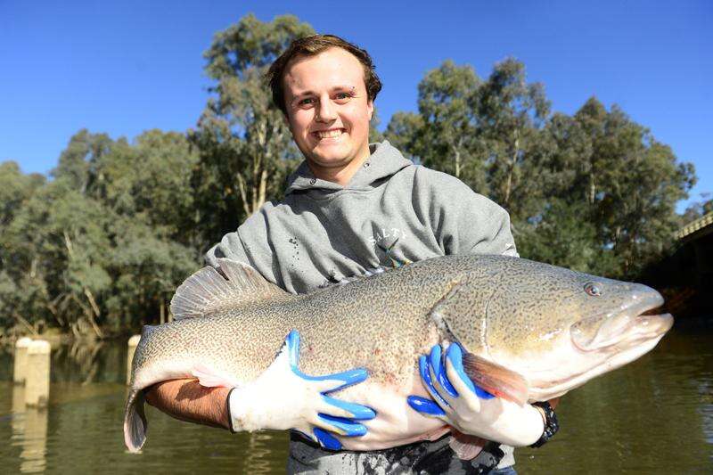 Big fish in new pond | Country News
