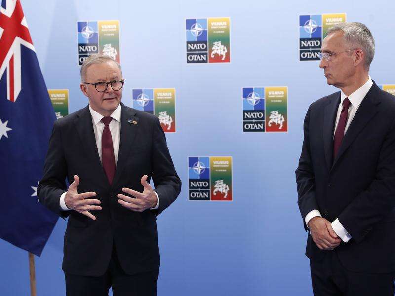 Australia to donate dozens more bushmasters to Ukraine | Country News