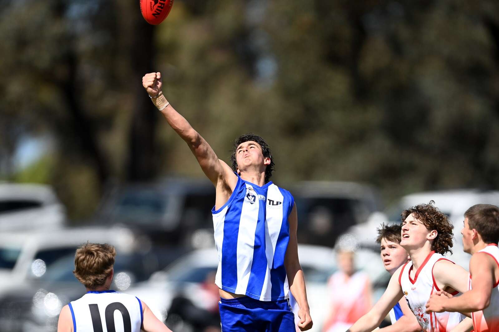 Talented ruck steers Rovers to immortal status | Shepparton News