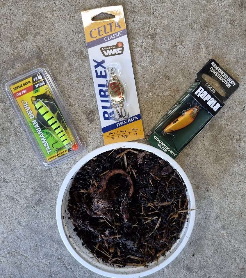 Reel life | Best baits and lures | Seymour Telegraph