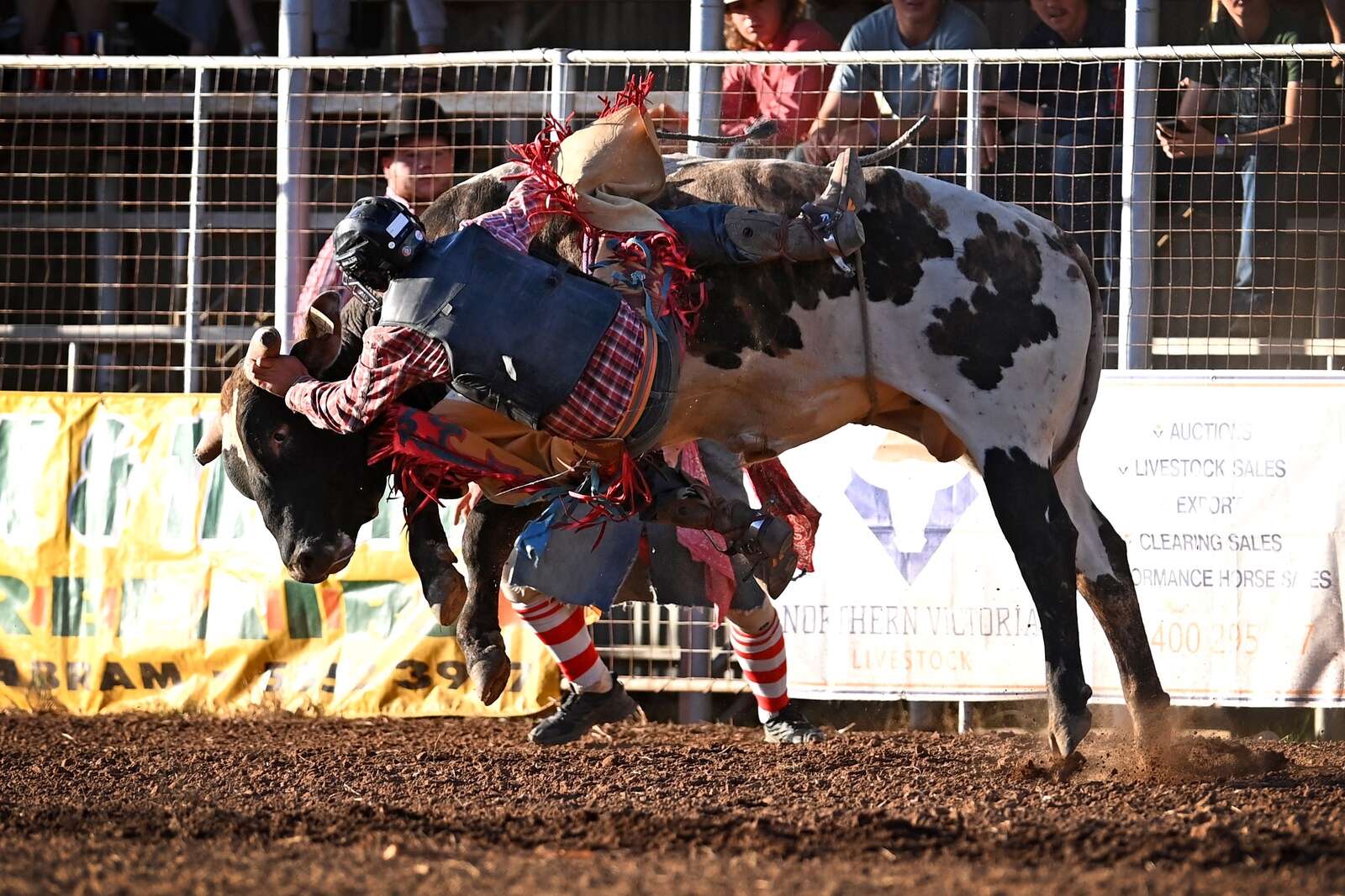 Saddle up for rodeo | Shepparton News