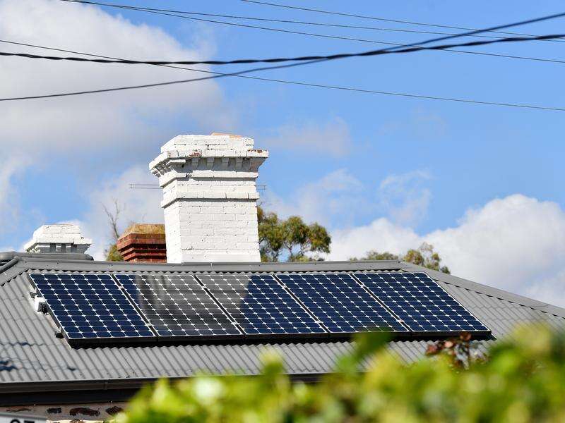 'Net zero hero' myth risks overburdening individuals | Country News