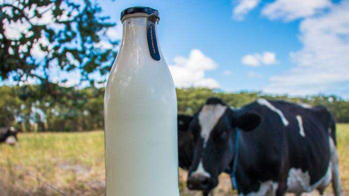 Speculation mounts on farmgate milk prices | Dairy News Australia
