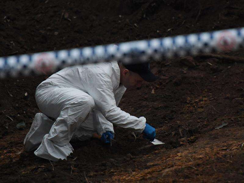NSW to introduce 'no body no parole' law | Country News