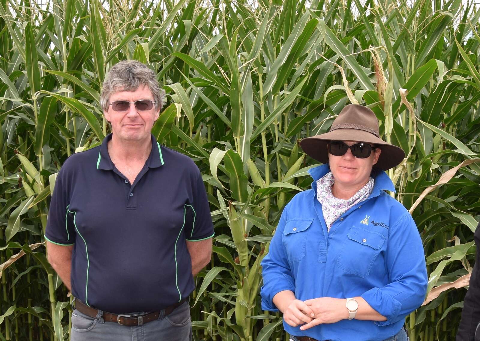 Delve into irrigated farm systems at Irrigation Insights | Country News