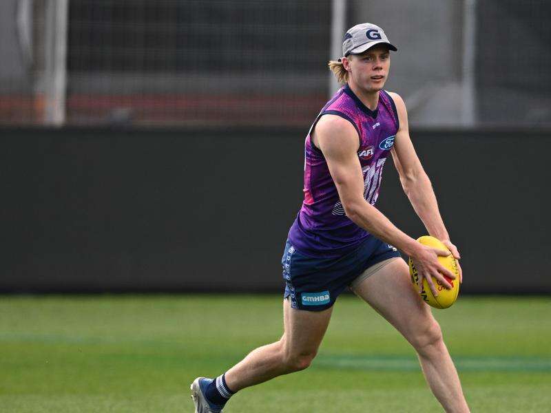 Zach Guthrie relishing AFL breakout | Benalla Ensign