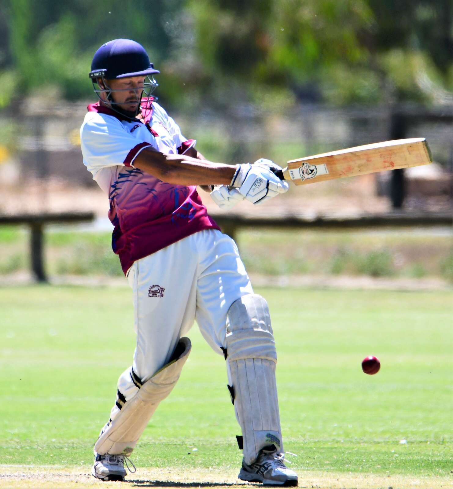 Four Lions pass 50 in destructive batting effort | Shepparton News