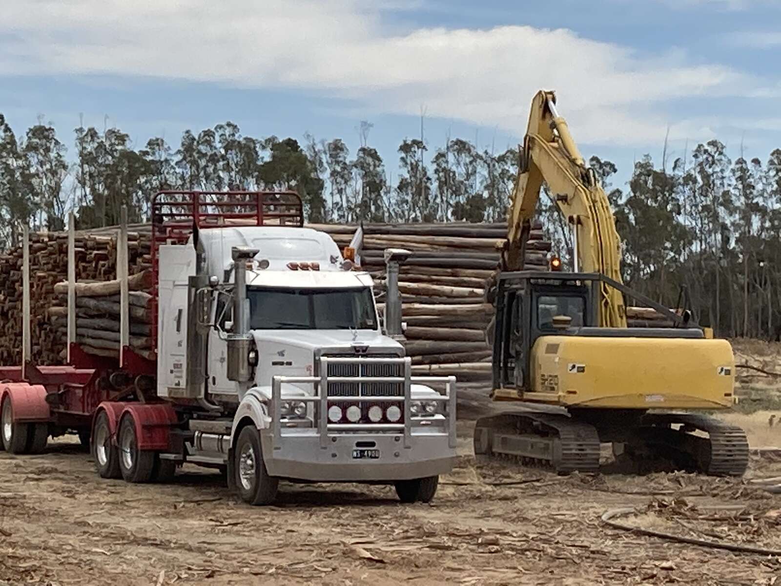 Trees put to work | Country News