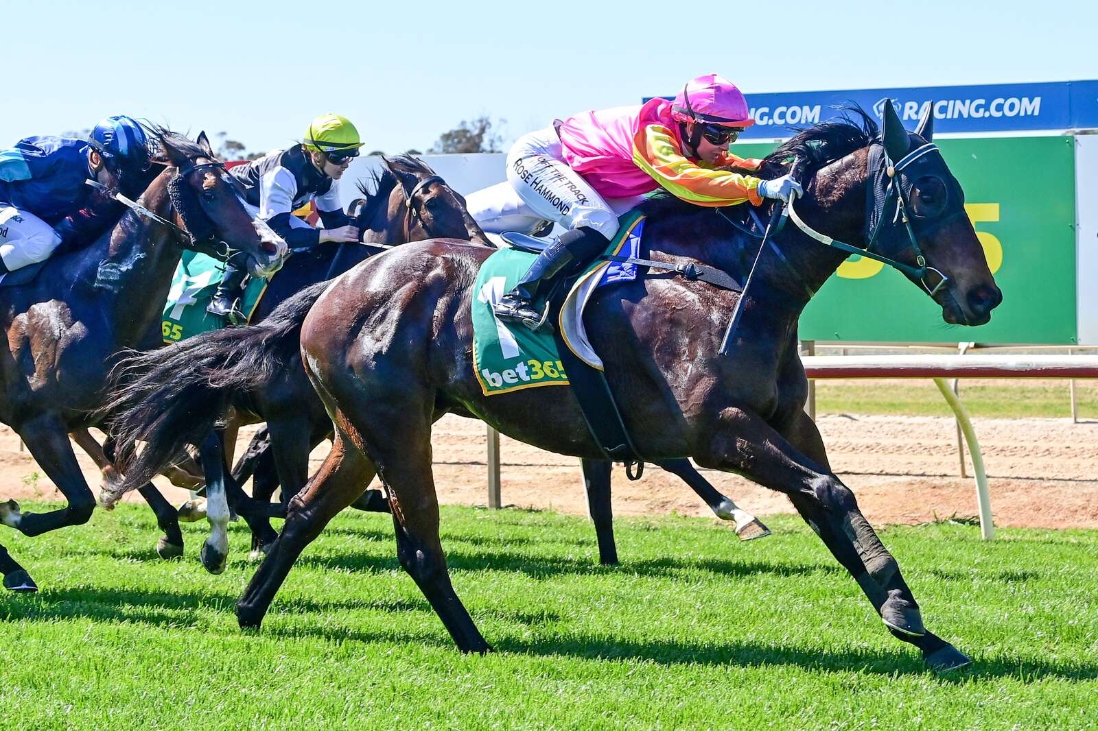 Echuca racing round-up | Shepparton News
