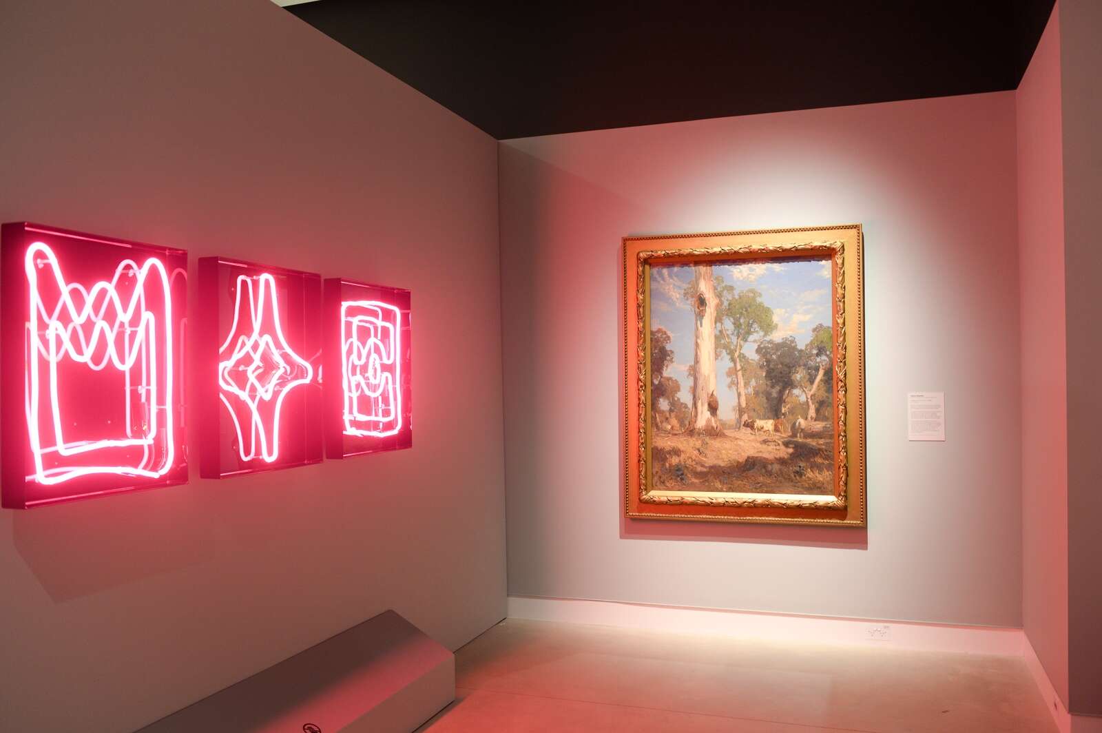 Behind the scenes: an exploration of SAM’s exhibition The Land Is Us ...
