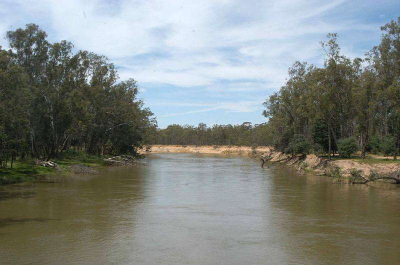 New review into Murray-Darling plan | Riverine Herald