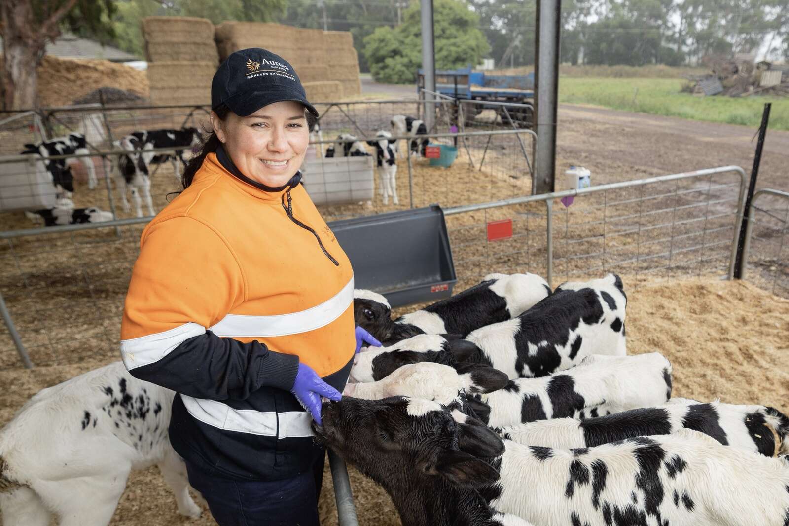 ‘Holy cow!’: adult learner reinvigorates career | Dairy News Australia