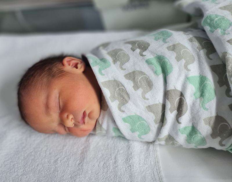 Welcome baby Jaeger | Deniliquin Pastoral Times