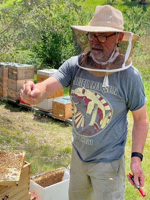 The bee’s knees of beekeeping | Country News