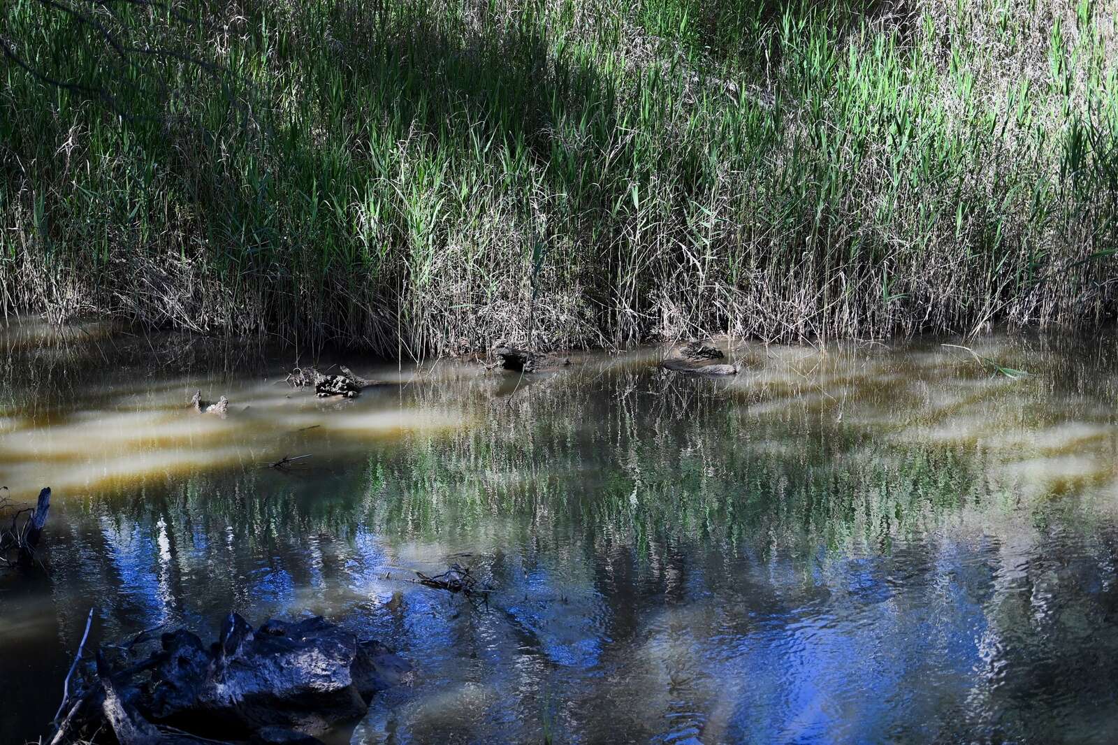 Broken system faces change | Country News