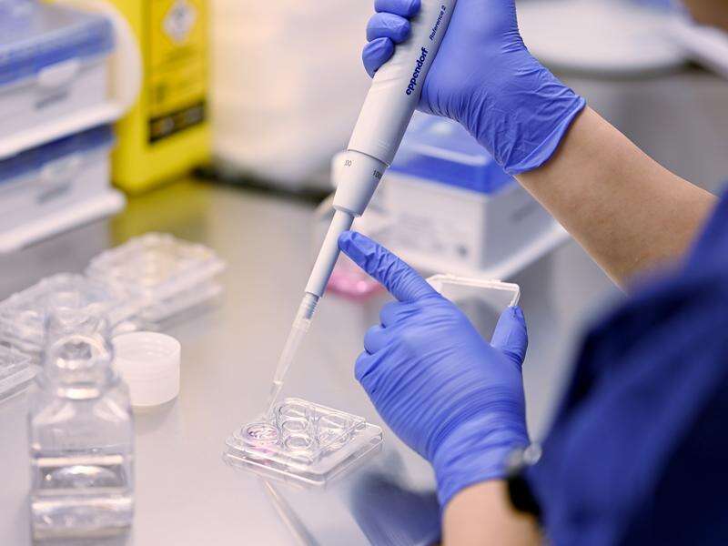 Three-person IVF technique pioneered in UK | Shepparton News