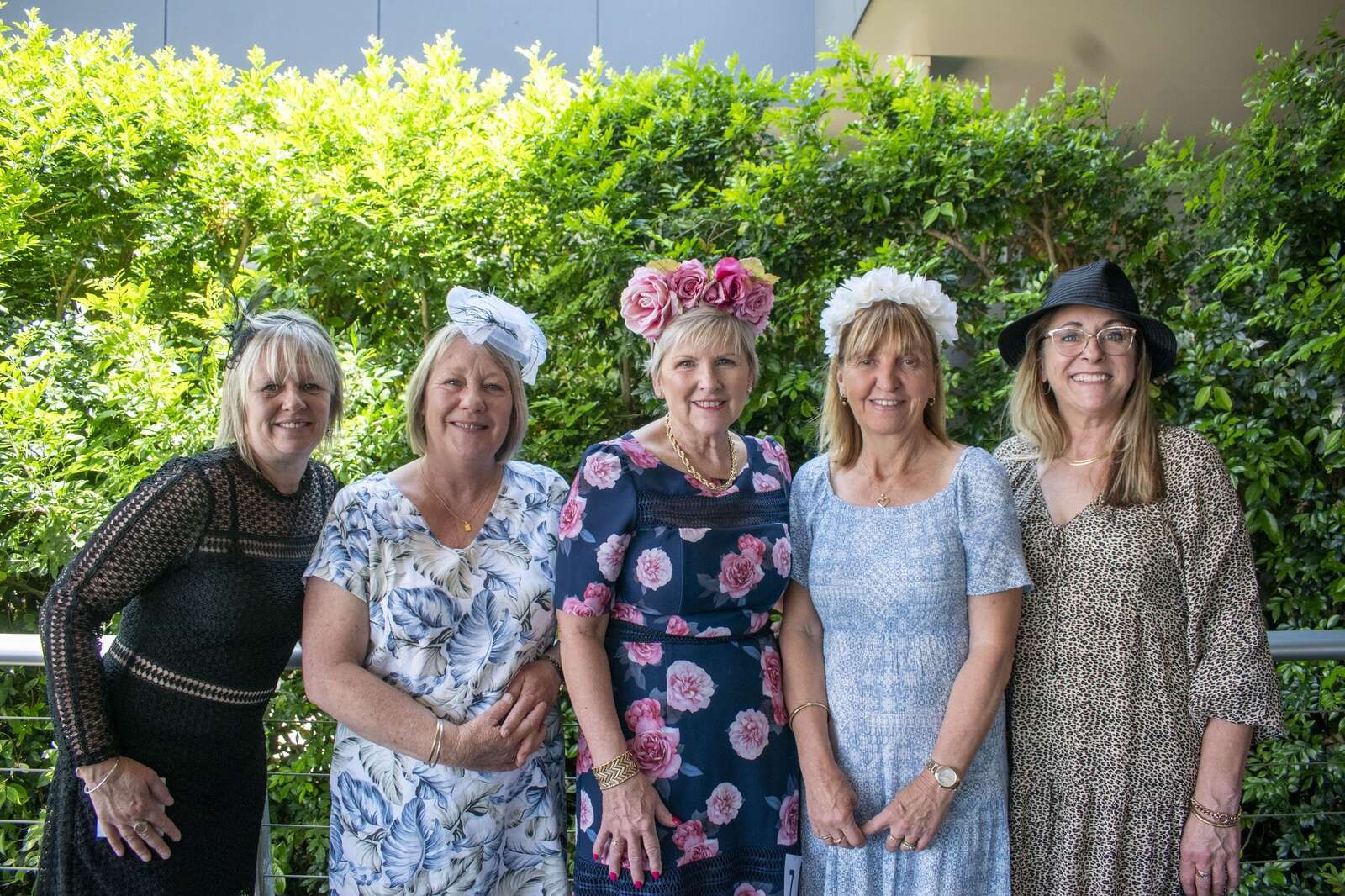 Club or red carpet? | Dairy News Australia