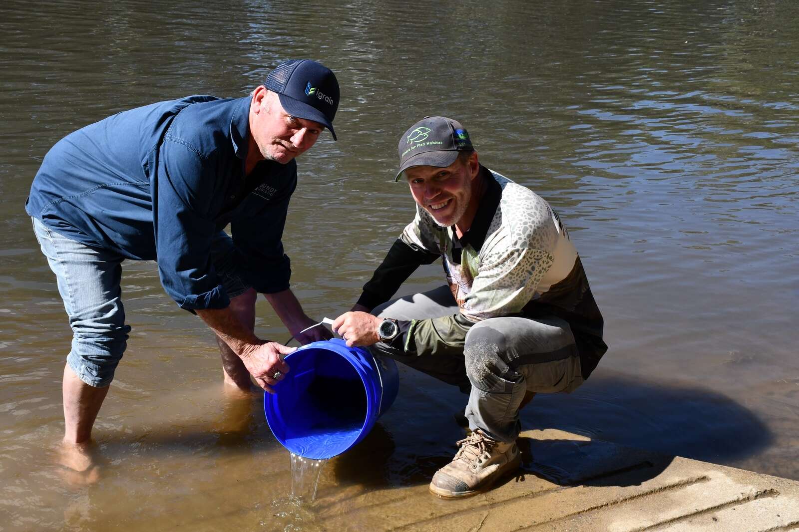 Native fish replenishment continues | Deniliquin Pastoral Times