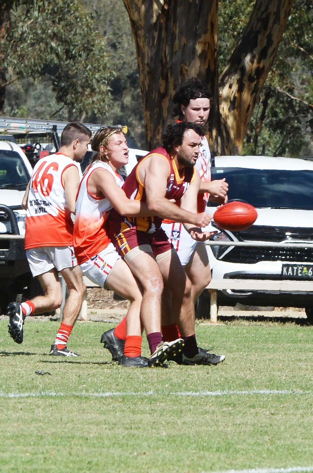 Fast finishing Bears record win | Shepparton News