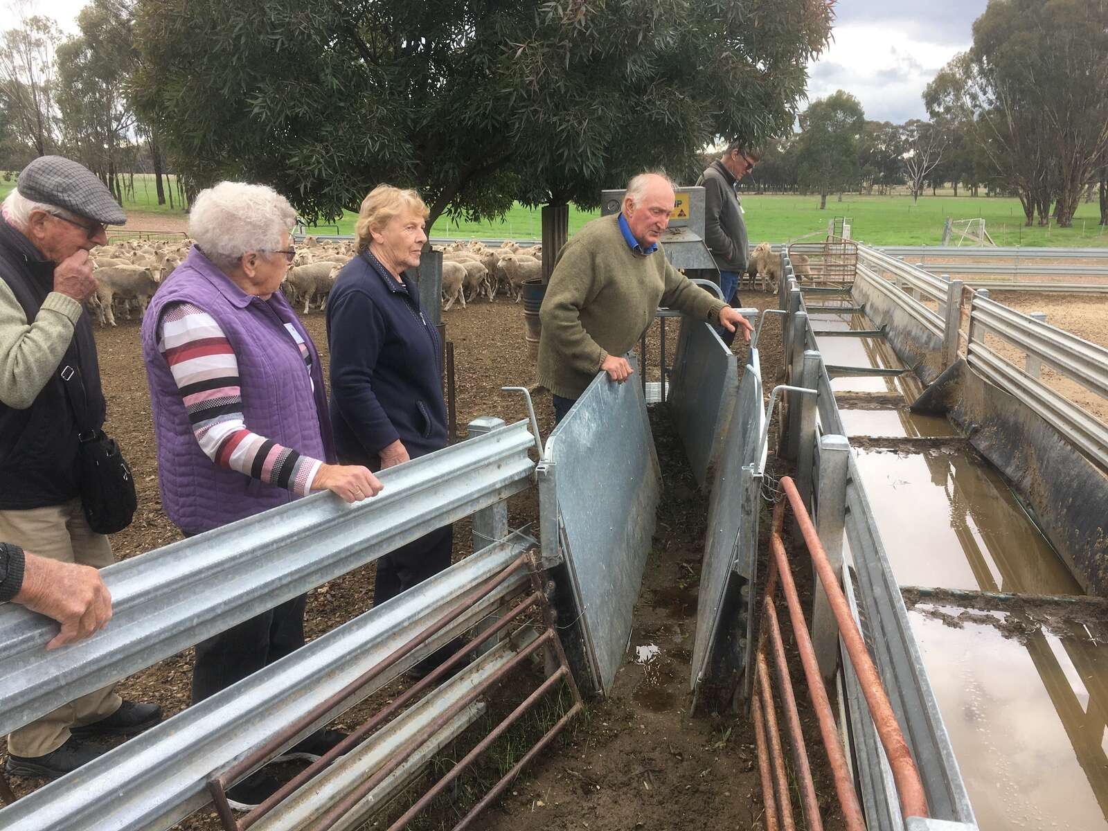 U3A Benalla set to start second semester | Benalla Ensign