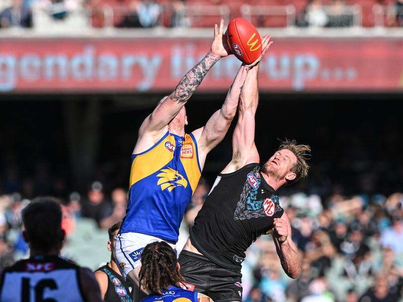 Port captain Jonas again overlooked for AFL selection | Dairy News ...