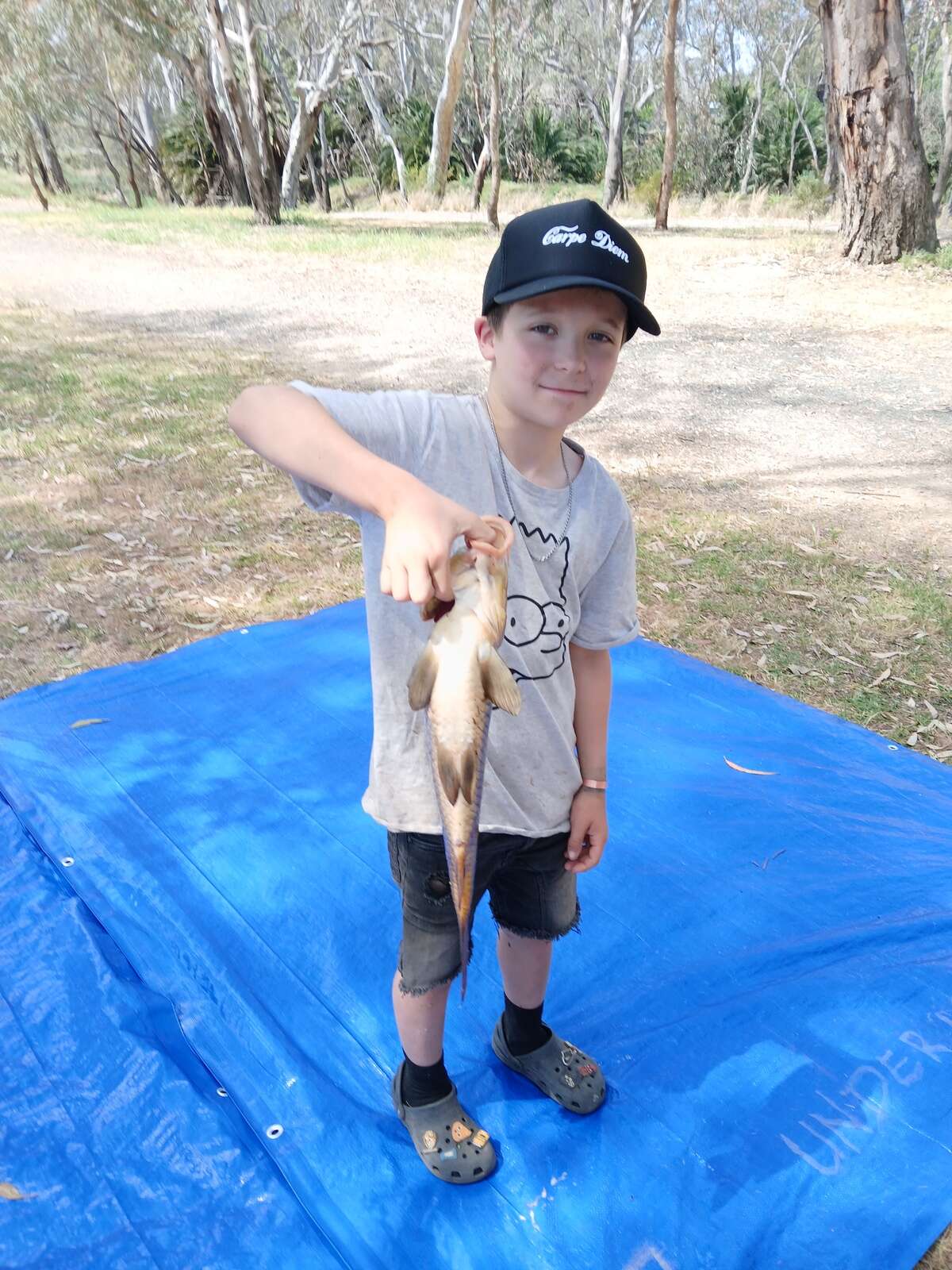 Campaspe carp catch is an environmental success | Country News