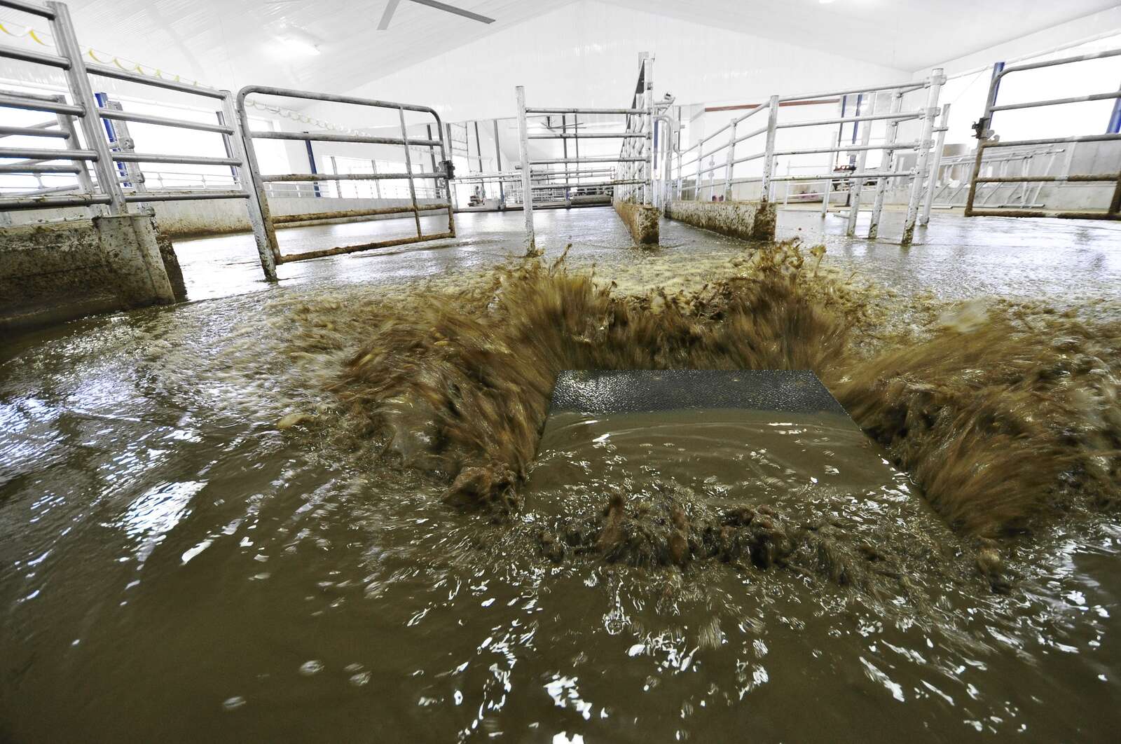 Flushed away with GEA | Dairy News Australia