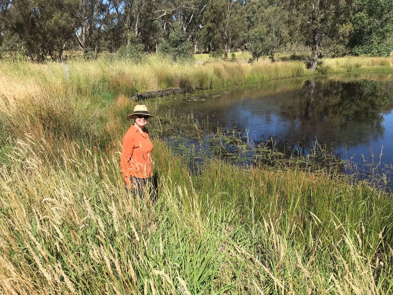 Deb creates thriving farm wetland | Country News