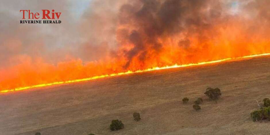 Paperwork before fire work | Riverine Herald