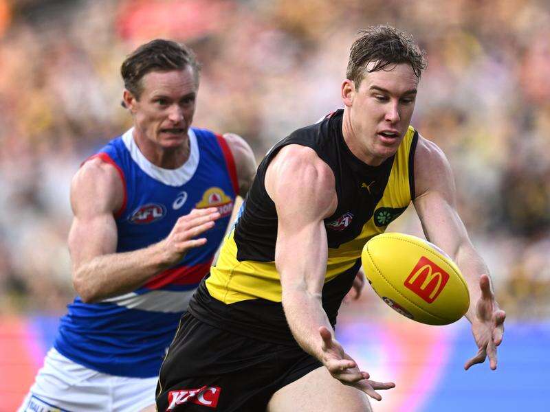 Tom Lynch heads to AFL tribunal for bump ban verdict | Dairy News Australia