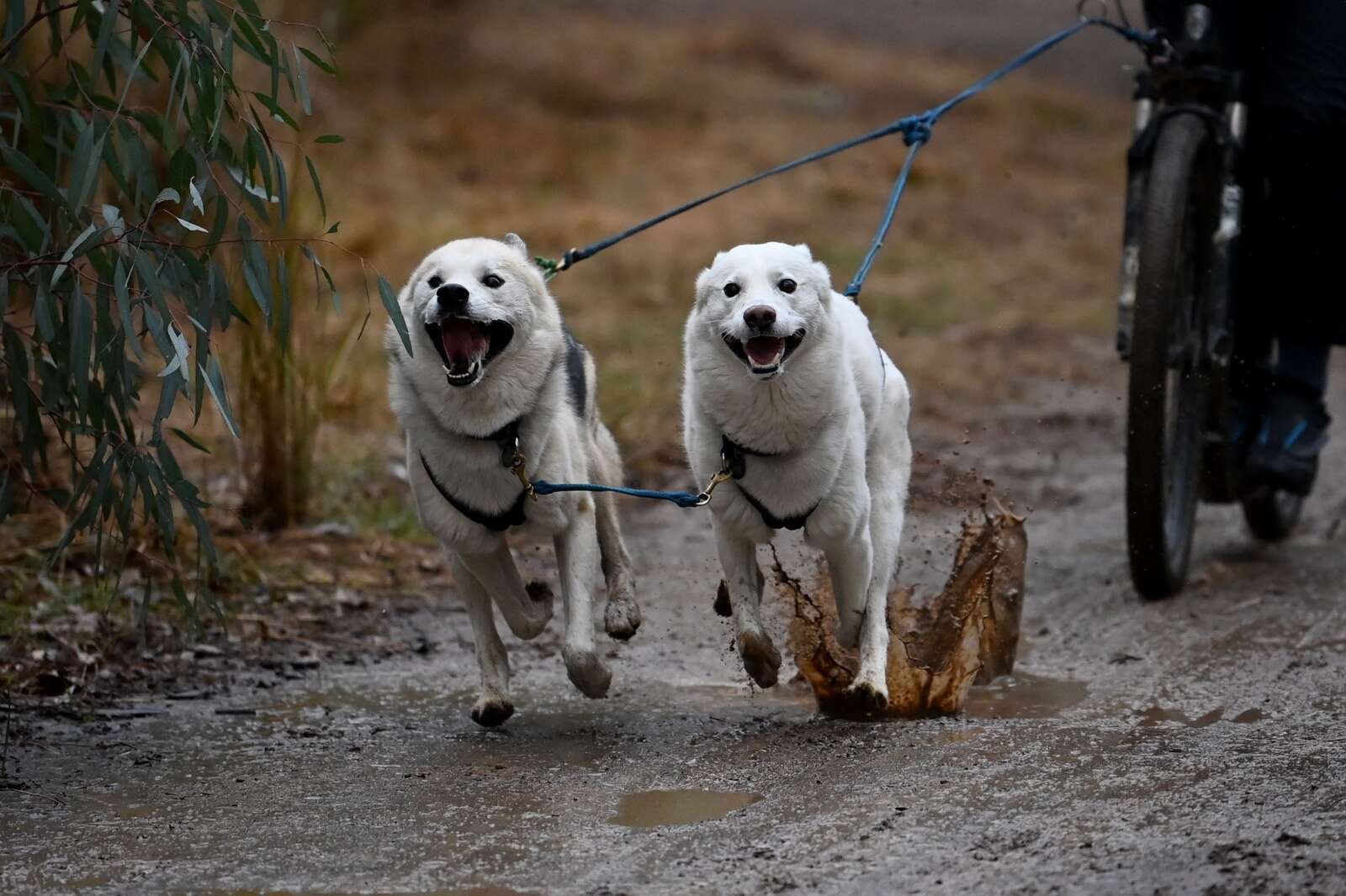 Drier than usual year in Shepparton | Seymour Telegraph