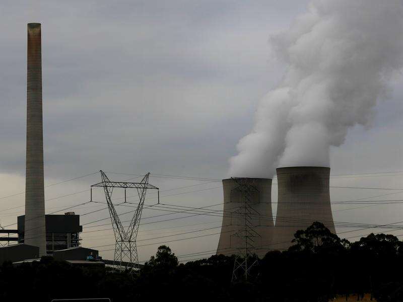 Chief scientist lights fuse on nuclear energy debate | Shepparton News