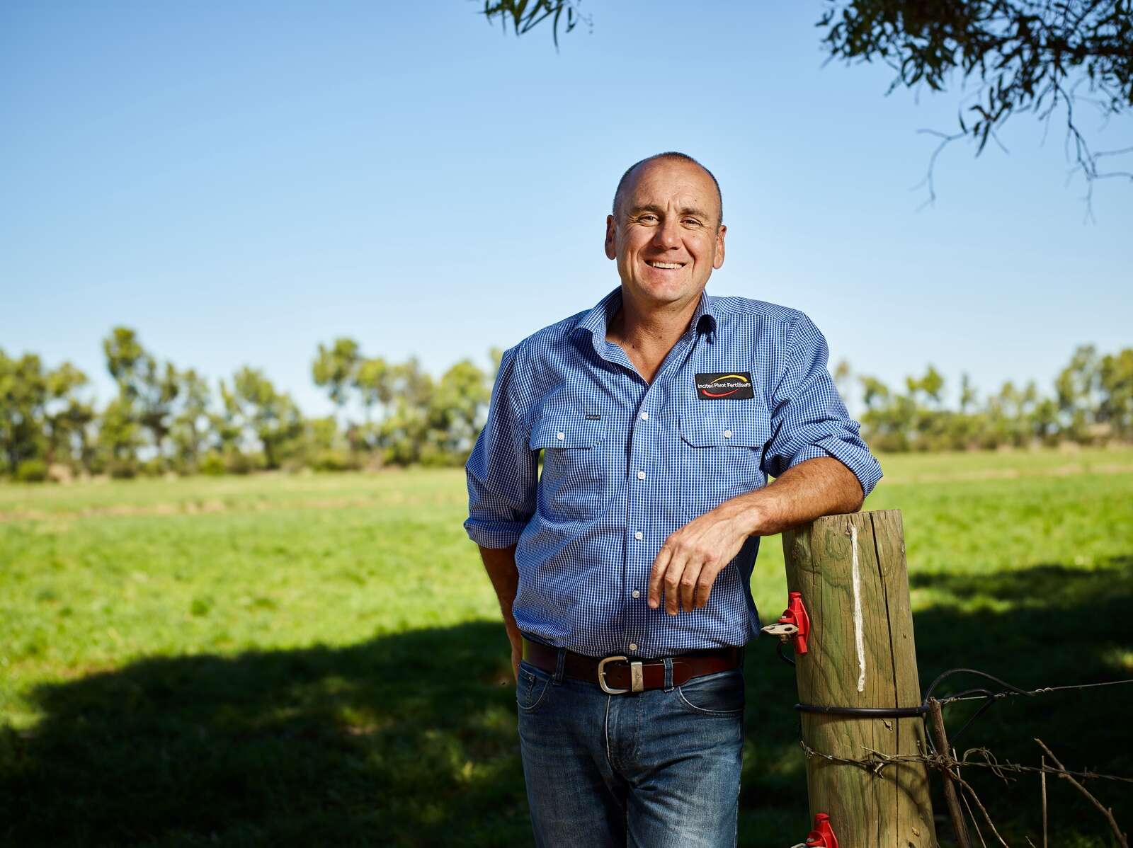 Apply fertilisers early to beat pasture growth bottleneck | Country News