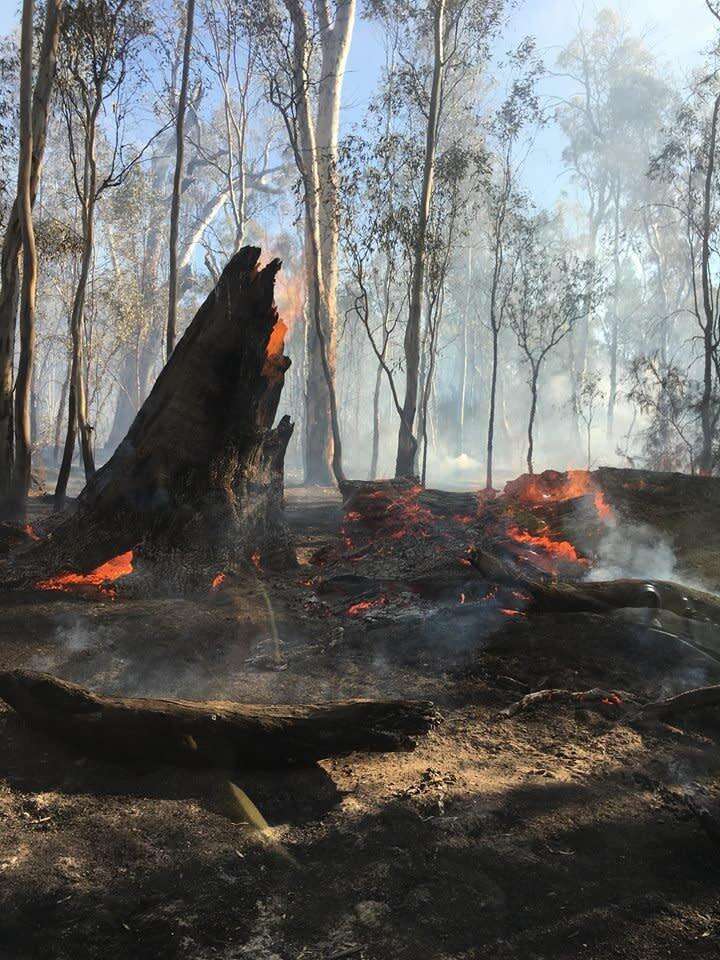Fire havoc in Perricoota | Country News
